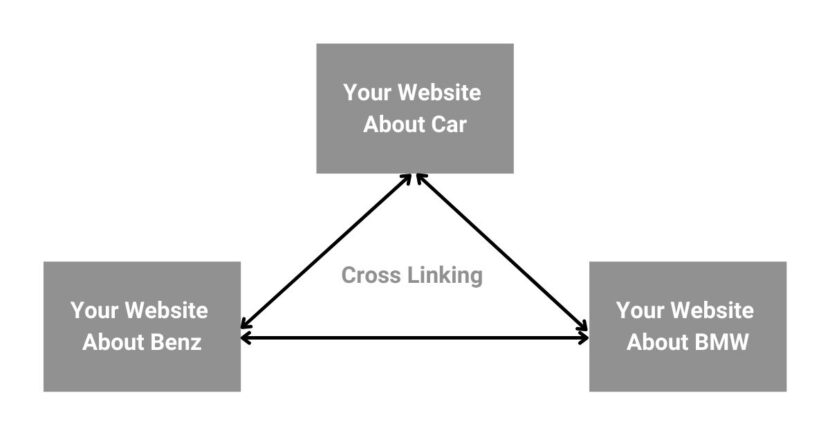 What is Cross Linking & How it Works How to Create Cross Links in SEO